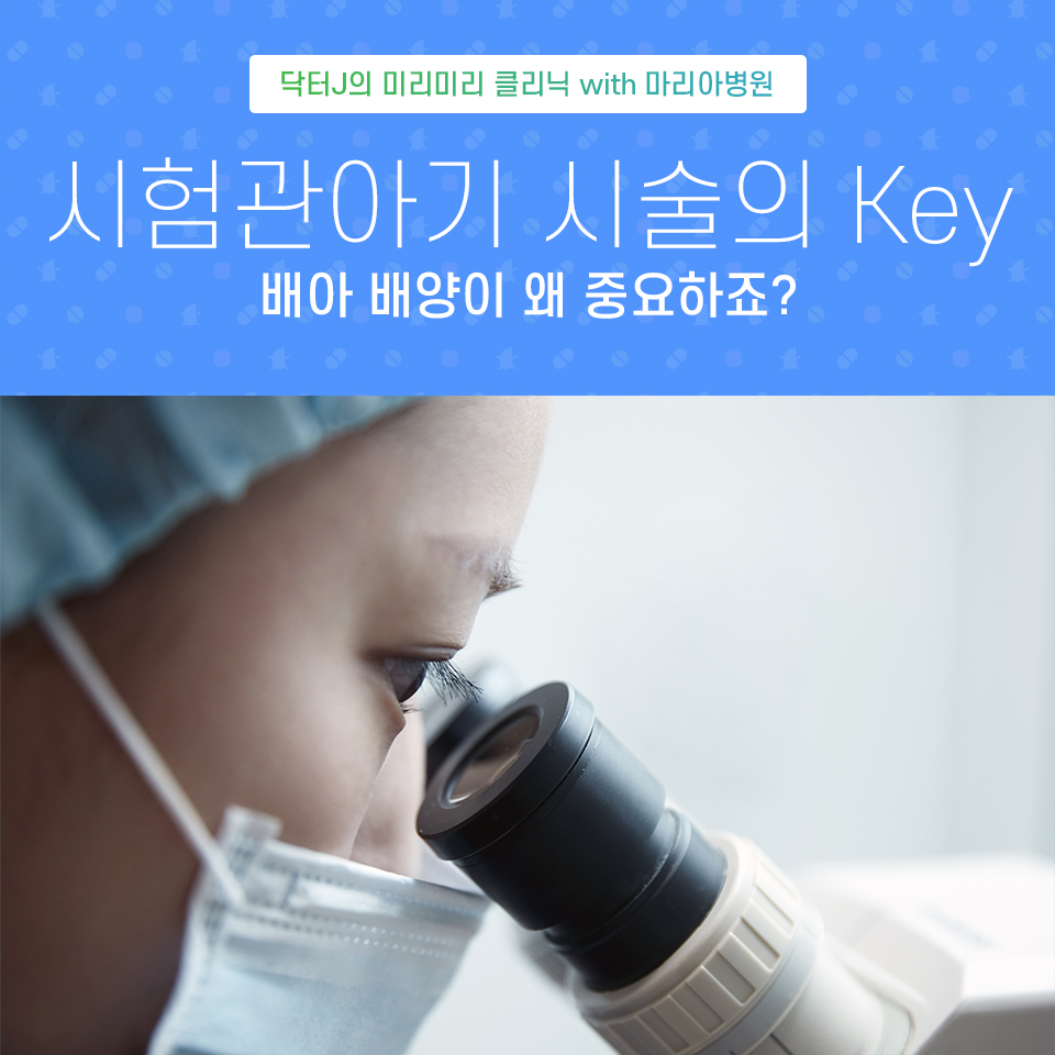 시험관아기 시술의 Key, 배아 배양이 왜 중요하죠?